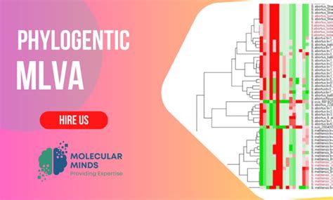 Phylogenetic Analysis And Tree Building By Molecular Minds Fiverr