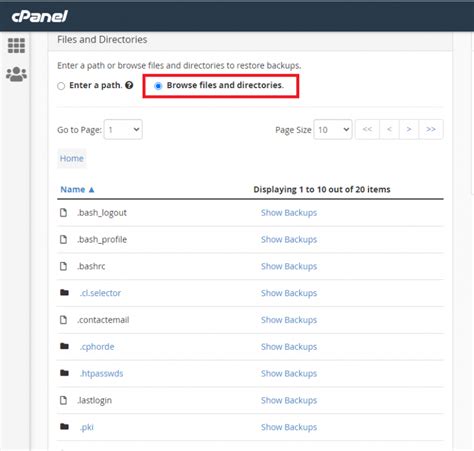 How To Restore The File And Directory Through Cpanel