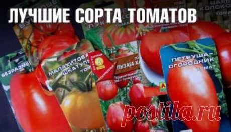 дача | Лидия Овсюкова | Фотографии и советы опытных дачников на Постиле