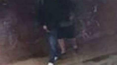 Woman Apologises For Sex Act Under A Bridge But Says She S Just A Regular Female With Regular