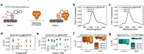 Figure 4 From Rational Design Of Carbon Nanotube Biosensors With Covalent Dna Anchors Semantic