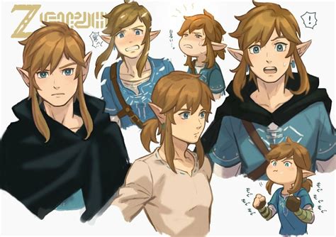 Pin De Delphine En Zelda Zelda Personajes Imagenes De Zelda