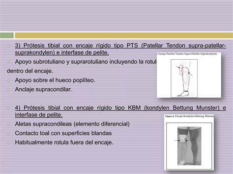 Amputación De Miembros Pélvicos Fisioterapia Pptx