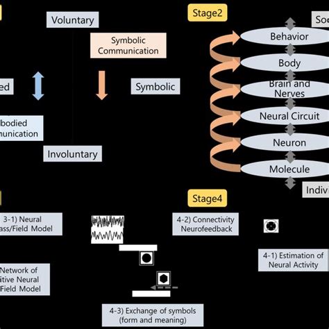 A Framework For Understanding The Neural Underpinning Of Symbolic And Download Scientific