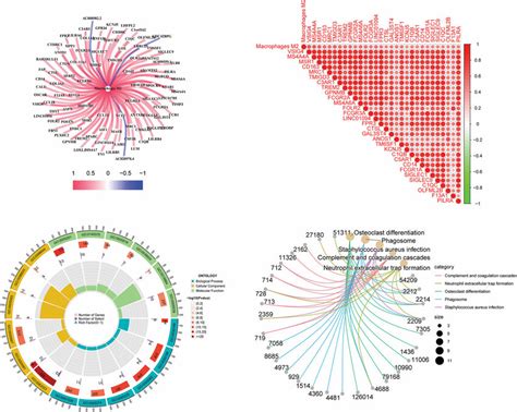 Gene Correlation Go And Kegg Analyses Results A Shows Co Expression Download Scientific