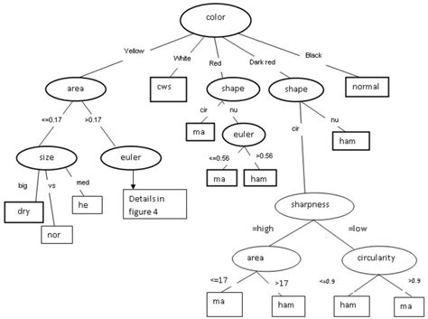 Decision Tree For Feature Selection Here Cws Cotton Wool Spot Cir