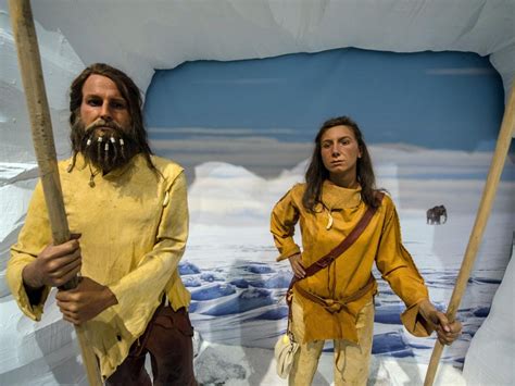 Lhomme De Cro Magnon Se Vêtait Il De Peaux De Bête