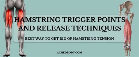 Hamstring Trigger Points Release Techniques The Ached Body