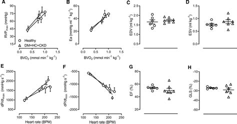 Right Ventricular Function At Rest During Exercise And During Download Scientific Diagram