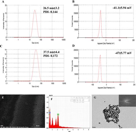 A Size And B Surface Charge As Measured By Dls Of Aunps And C Size Download Scientific Diagram