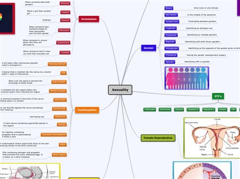 Sexuality Mindomo Mind Map