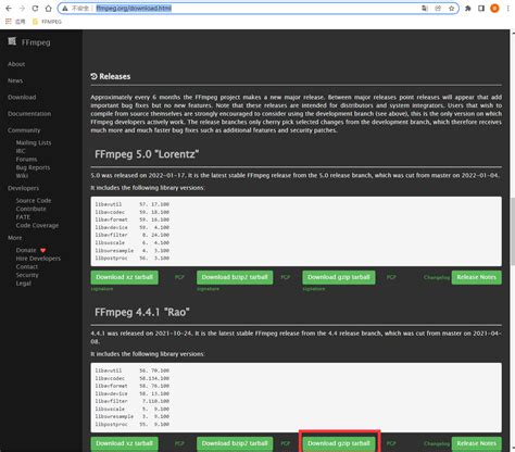 Compile Windows Environment FFMPEG With Msys Mingw Programmer All