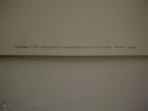 Anne Laddon Poster Sure Shot Vintage 1981 25 X 34 Nikon Camera 1833598066