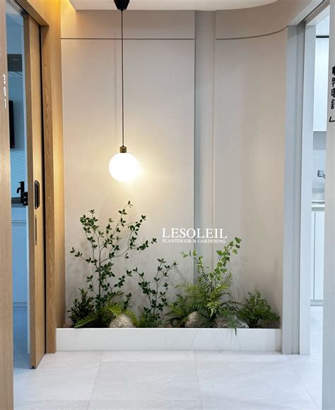 한의원에 연출해드린 실내 정원입니다 일반적인 상업 공간에는 공간을 많이 차지하는 플랜테리어 연출을 하기 어려운 경우가 많습니다 이럴 때 복도 끝 벽면 작은 공간에 플랜