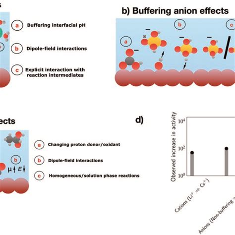 Schematics Showing The Different Sources Of Electrolyte Effects