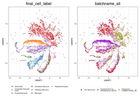 ATAC Dataset Mouse Brain Atac Peaks Small