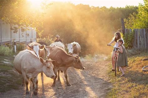 РУССКАЯ ДЕРЕВНЯ ️СЕЛО ️БЫТ Pro Derevni Posted On Instagram • Jan 22 2022 At 4 22pm Utc