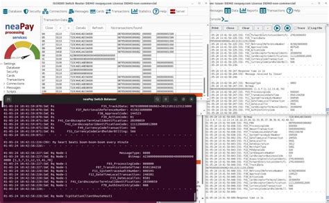 Damian Neagoe On Linkedin Iso8583 Load Balancer With Neapay Switch Router