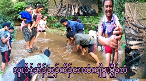 ညၣ်ထံကျိပူၤလၢကစၢ််မၤန့ၢ််အီၣ်ဘဲလီၤဆီ Youtube