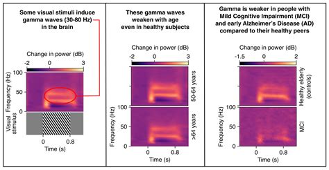 Brain Computation And Data Science