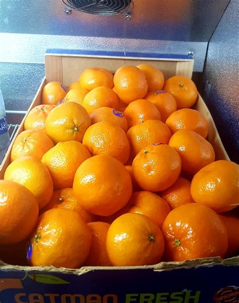 Kassab Bakery Localeplace