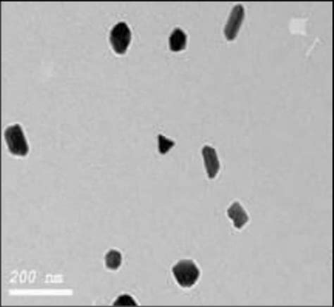 Photographs Acquired Through Transmission Emission Microscopy Of The