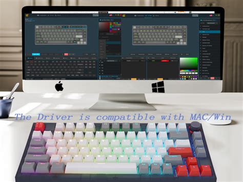 Mua Skyloong Gk75 Compact Programmable Gaming Keyboardtkl 75 Layoutrgb Wired Hot Swappable