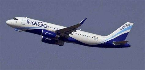 Man Offloaded From Flight For Inconveniencing Co Passengers By Doing