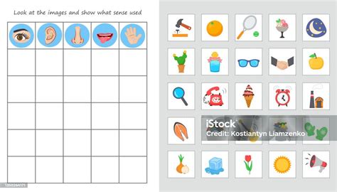 아이들을위한 교육 워크 시트 아이들을위한 게임 감각 장기와 물체의 일치 냄새 맡기에 대한 스톡 벡터 아트 및 기타 이미지 냄새 맡기 만화 보기 정적 활동 Istock
