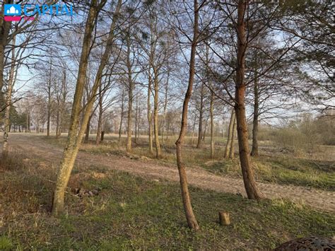 Sklypas Su Nemuno Pakrante šalia Rusnės