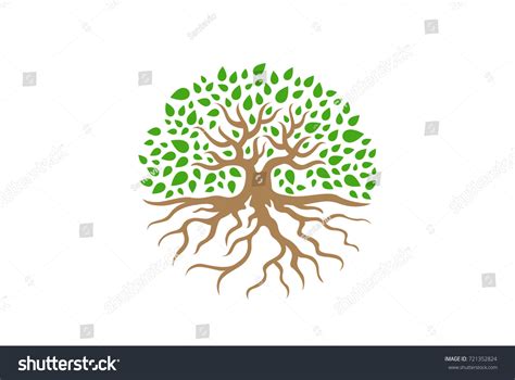 Circle Tree Roots Vector Illustration Garden Vector De Stock Libre De