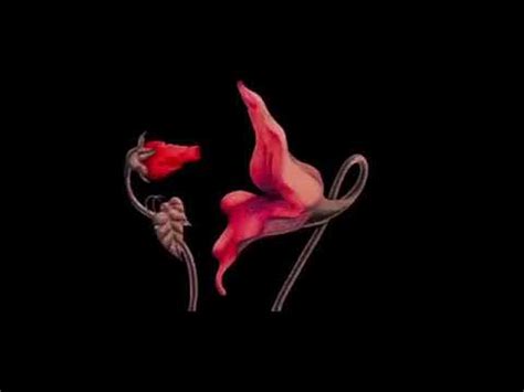 Base De Rap Sex Youtube