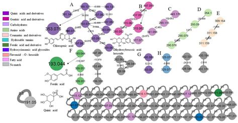 Full Molecular Networking Created Using Negative Msms Data