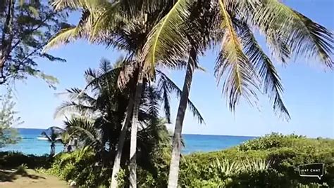 Korn 施虐狂的摇篮曲，pmv Xhamster