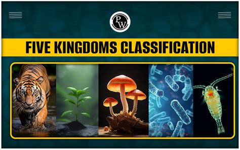 Five Kingdoms Classification Overview Classification Benifits