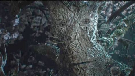 The Loss Of Lotrs Entwives Is Much Sadder After Their The Rings Of Power Debut Nerdist
