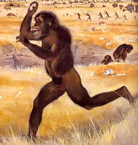 Australopithecus Reconstruction