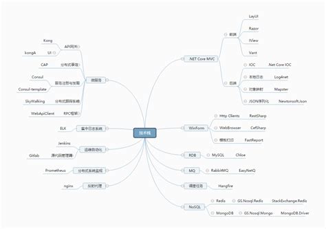 Net微服务实战之技术选型篇 董川民