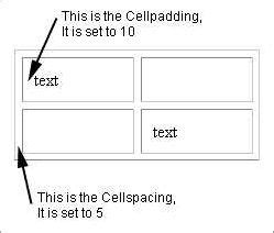 Html Cell Spacing A Complete Guide To Controlling Padding And Margins Between Table Cells