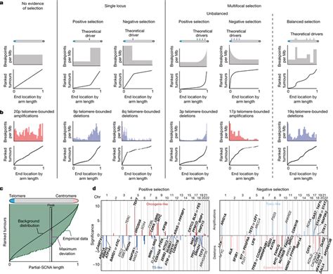 Biscut Identifies Known And New Cancer Driver Genes Through Analysis Of