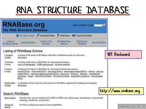 RNA Structure Database