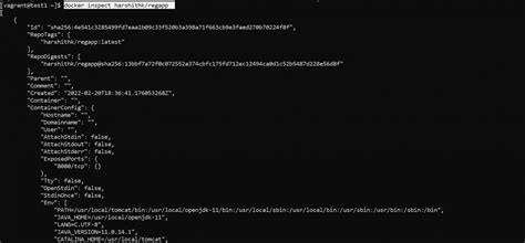 Docker Commands You Should Know