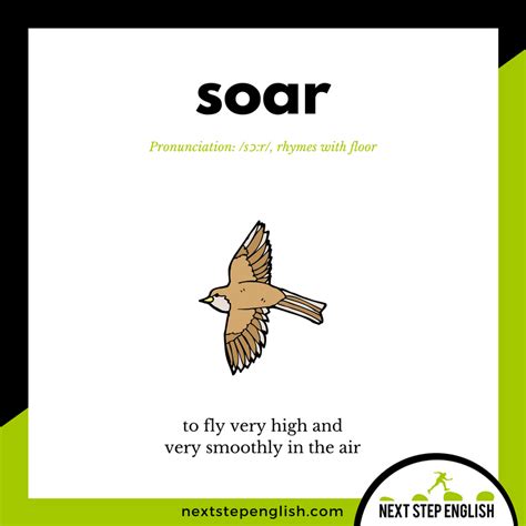 Here We Go More Stepper Questions Answered 🤗 45 Bonus Vocab Words With Images English