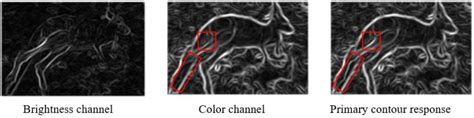 Figure 3 From A Contour Detection Method Based On The Projective Coding