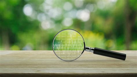 Nemo Ai Smart Ai Solution For Your Business