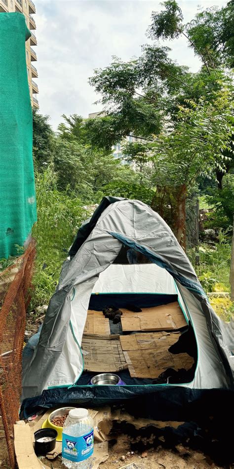 Tripti Mittal On Linkedin Hero Leadership Linkdin Kindness Purpose