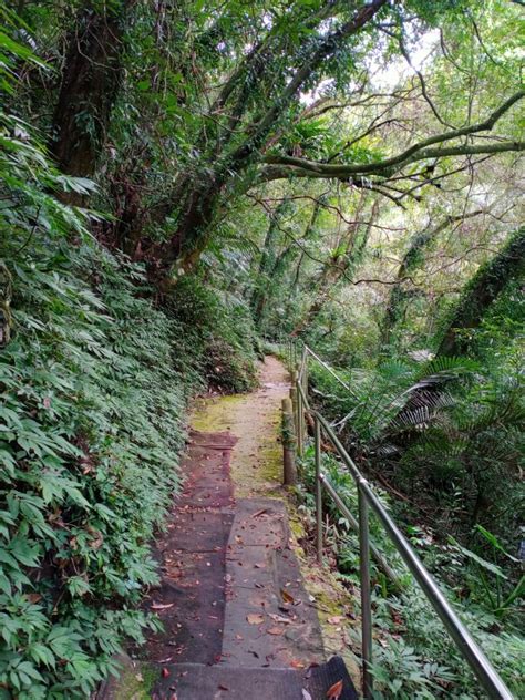 深坑區炮子崙瀑布 茶山古道 林家草厝 猴山岳 炮子崙步道O型 健行筆記