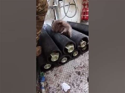 Розрахунок САУ "Нона-С" застосовує американські 120-мм міни M1101 # ...