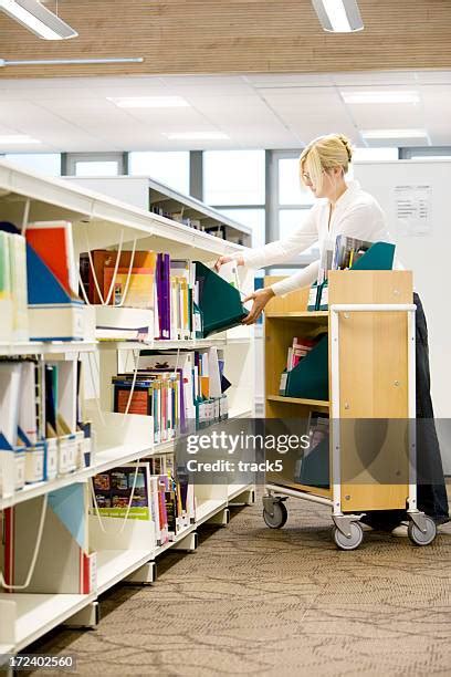 29 Young Female Librarian Arranging Books On Library Shelves Stock