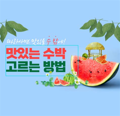 잘 익은 맛있는 설탕수박 고르는 꿀팁 6가지